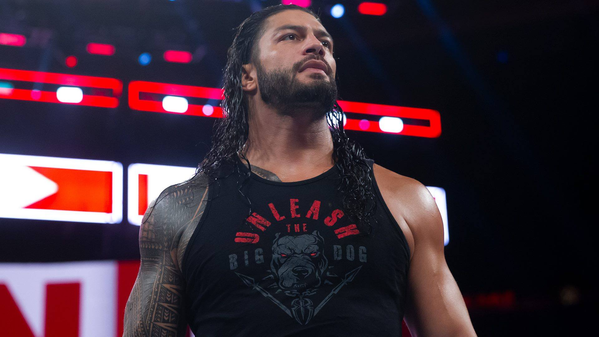 theromanreignsempire.com + + || Roman Reigns – The Big Dog will be back ...